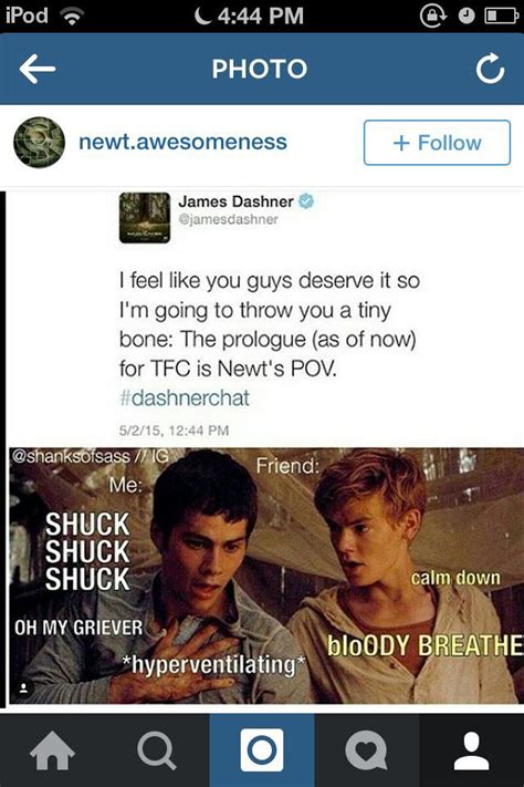 First Female The Maze Runner Newt FanFiction Chapter Wattpad