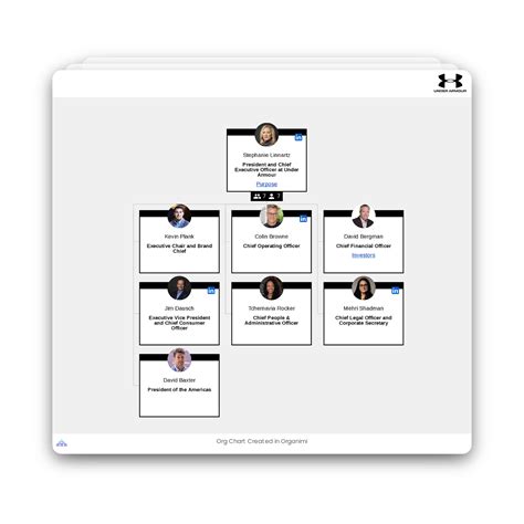 Under Armour S Organizational Structure Interactive Chart Organimi