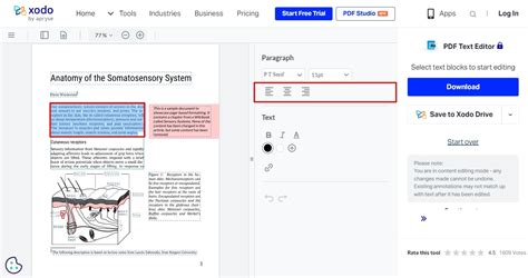 Learn 6 Techniques On How To Align Text In PDF