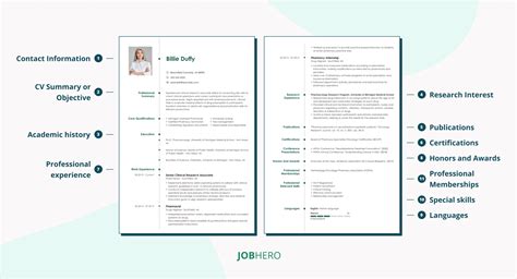How To Write A CV In Full Guide Examples
