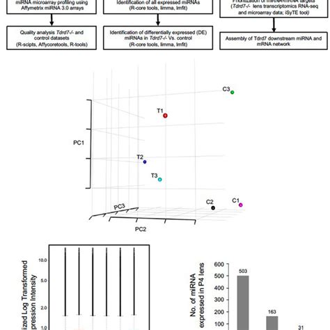 microarray based profiling of mirnas in tdrd7 lenses a