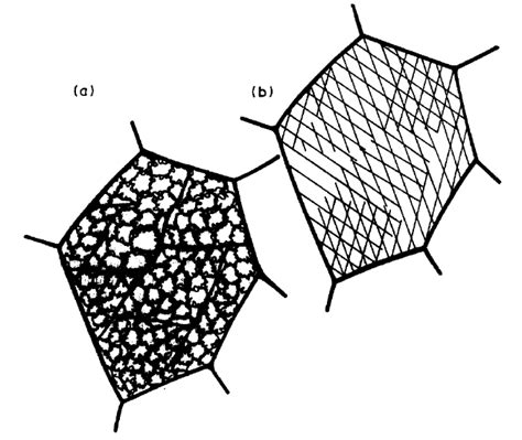 Grain Displaying Dense Dislocation Walls Representing The Limits Of