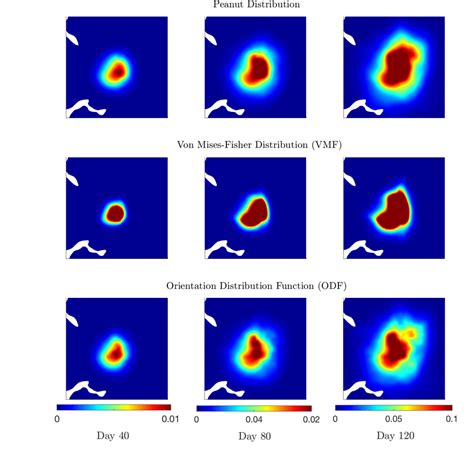 A Simulation Of The Evolution Equation Without Therapy With The