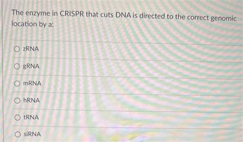 Solved Take A Look At This DNA Sequence Both Strands Are Chegg Com