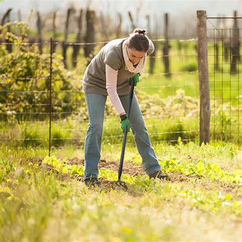 Cmrtew Garden Hoe Long Stirrup Hoe Garden Tools Lightweight And