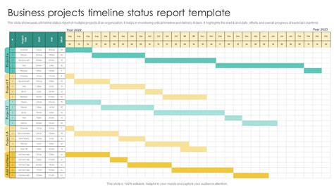 Business Projects Timeline Status Report Template Template PDF