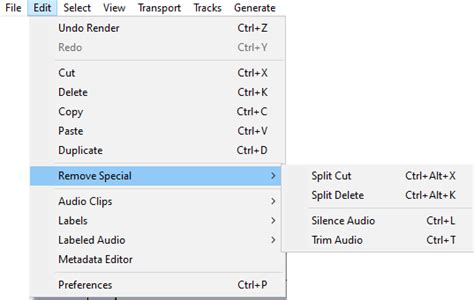 Edit Menu Remove Special Audacity Manual