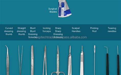 Customized Label Dissection Set 30 Pieces Dissection Kit 2022 High Quality Stainless Steel