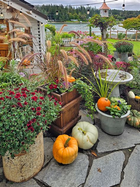 12 Best Plants For Fall Planters And Container Gardens Shiplap And Shells