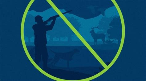 ბრაკონიერობის წინააღმდეგ ბრძოლის ფარგლებში კონტროლის მექანიზმები მკაცრდება Knews Ge