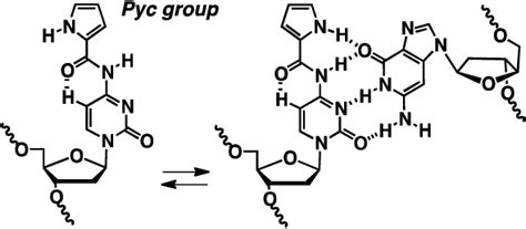 Figure 1 From A New Modified Cytosine Base Capable Of Base Pairing With