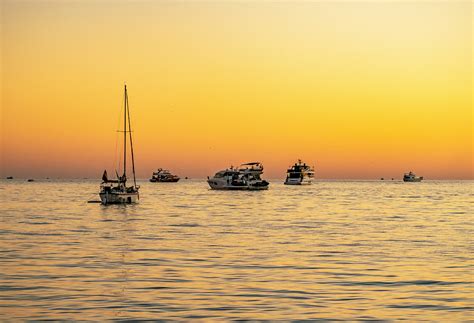 The Risk Function Of The Future Report