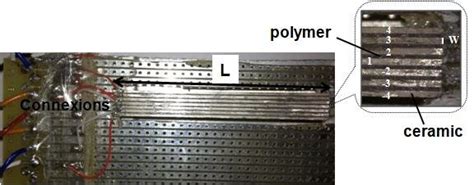 Fabricated Piezoelectric Transducer Arrays Download Scientific Diagram