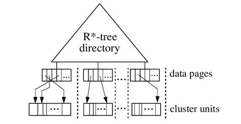 Schematic Structure Of The Cluster Organization Download Scientific Diagram