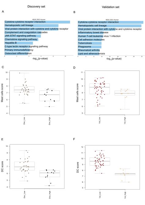 Tumor Immune Microenvironment Analysis A The Bar Chart Displays The