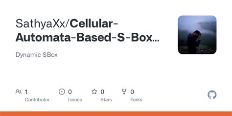 Github Sathyaxx Cellular Automata Based S Box Construction Dynamic Sbox