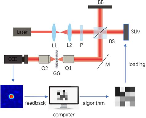 Experimental Setup Of Feedback Based Wavefront Shaping L1 L2 Lens