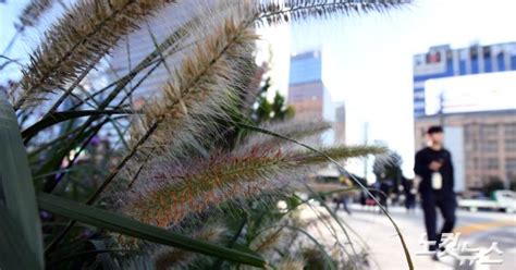 완연한 가을아침