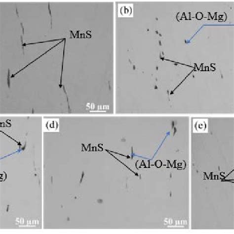Morphology Of Sulfide After Hot Rolling Simulation Experiment A 0 Download Scientific
