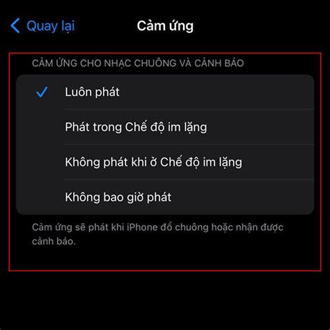Cách Tuỳ Chỉnh Chế độ Rung Trên Ios 17 Theo Nhu Cầu Sử Dụng Vô Cùng đơ Hệ Thống Bán Lẻ Phụ