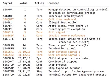 운영체제 Signal And Pipe