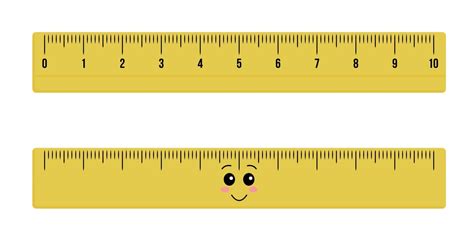 Cute Wooden Or Plastic Ruler Measure Instrument Kawaii Isolated On