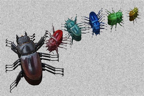 Stop Bugging Me On Behance