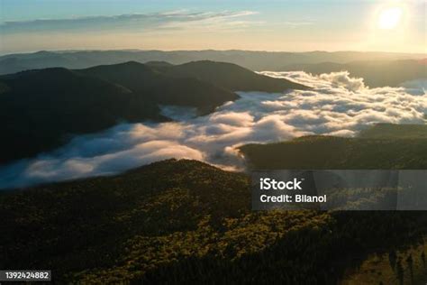 가을 일출에 안개낀 어두운 산숲 소나무와 함께 놀라운 경치의 공중 보기 새벽에 빛나는 빛의 광선과 아름다운 야생 숲 0명에 대한 스톡 사진 및 기타 이미지 Istock
