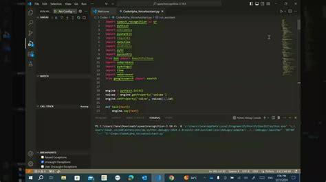 [video] jana ayman on linkedin codealpha voiceassistant python