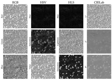 Agronomy Special Issue Crop Yield Prediction In Precision Agriculture