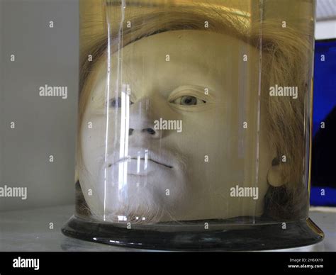 Lisboa Portugal 18th Nov 2021 Int Embalmed Head Of The First