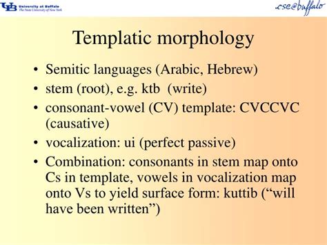 Ppt Brief Introduction To Morphology Powerpoint Presentation Id6253333