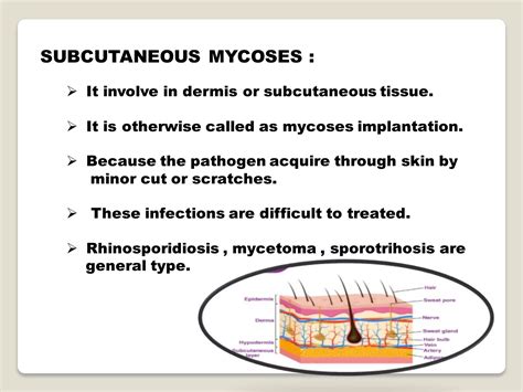 Subcutaneous Presentation By Swathipdf Skin And Dermatology