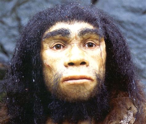 Homo Heidelbergensis By Viktor Deak Homo Heidelbergensis Human