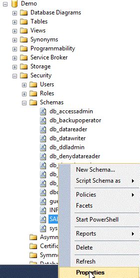 Microsoft Business Intelligence Data Toolssql Schema