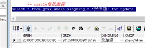 Oracleplsql如何修改数据，sql操作plsql修改数据 Csdn博客