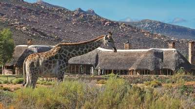 Aquila Game Reserve Big 5 Cape Town Safari