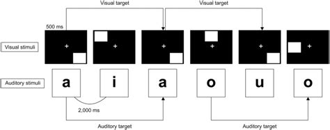 dual 2 back task the auditory verbal and visuospatial stimuli are