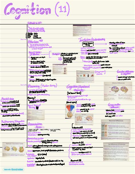 Brain And Behaviour Module 1 Notes Cognition 11 What Is It And Set Processes Of Mental