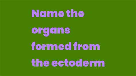 Name The Organs Formed From The Ectoderm Write A Topic