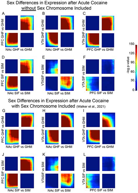 Reply To “multiple Comparisons And Inappropriate Statistical Testing