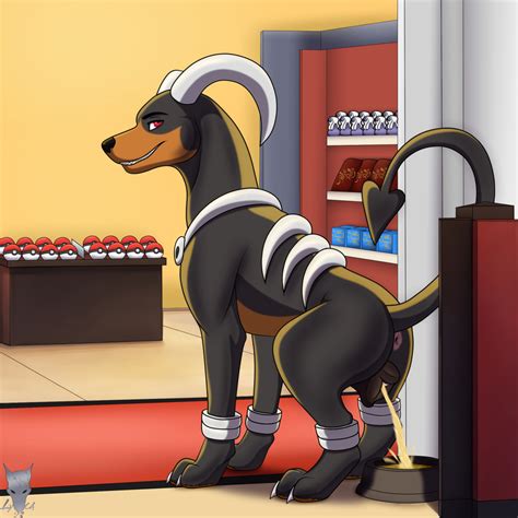 Post 6392457 Houndoom Lycadio Porkyman