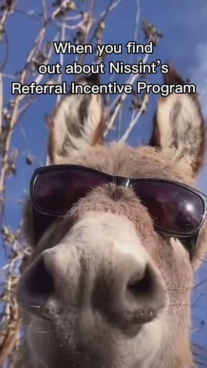 Nissint Technologies Llc On Linkedin Softwareengineer Techmeme Hiring Workfriends