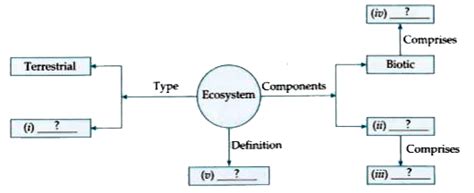 Complete The Following Flow Chart Based On Ecosystem And Its Component