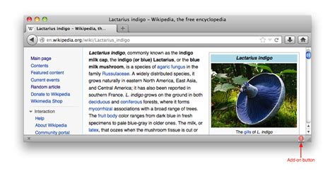 What Can I Do With Firefoxs Browser Console Which I Cant With Web