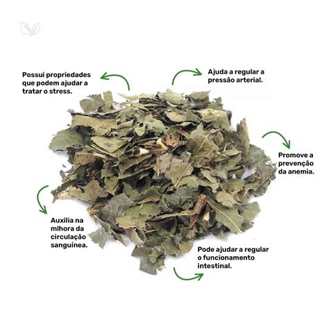 Chá De Mangaba Folhas Energia A Partir De R 15 65