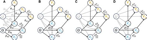 Bayesian Causal Graphical Model For Joint Mendelian Randomization Analysis Of Multiple Exposures