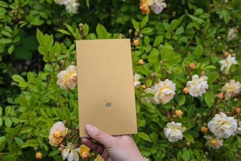 The Book Of Definitions Ross Robbins — Two Plum Press