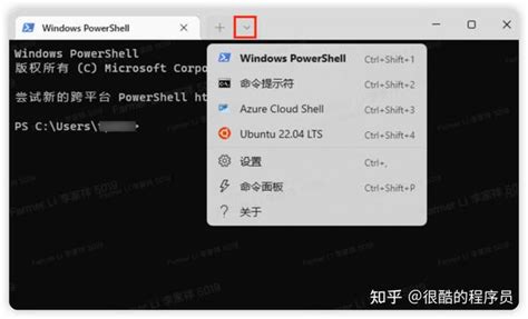 用windows Terminalwsl打造好用的终端开发环境 知乎 用windows Terminalwsl打造好用的终端开发环境 知乎