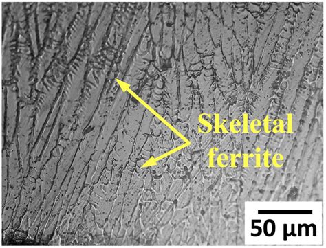 Skeletal Ferrite Microstructure In The Fz At Higher Magnification